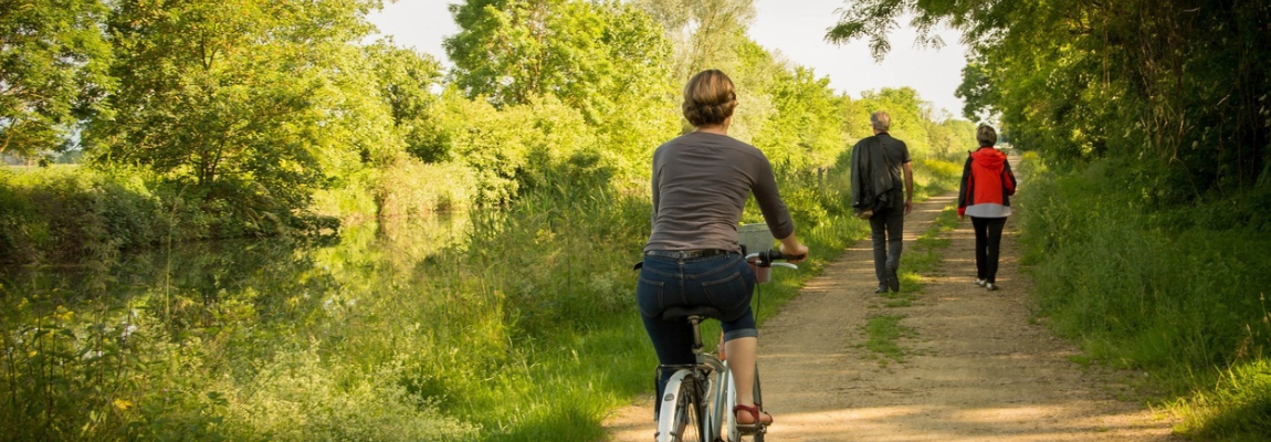 Les Trésors du Rhin : quatre parcours ludiques pour explorer le ...